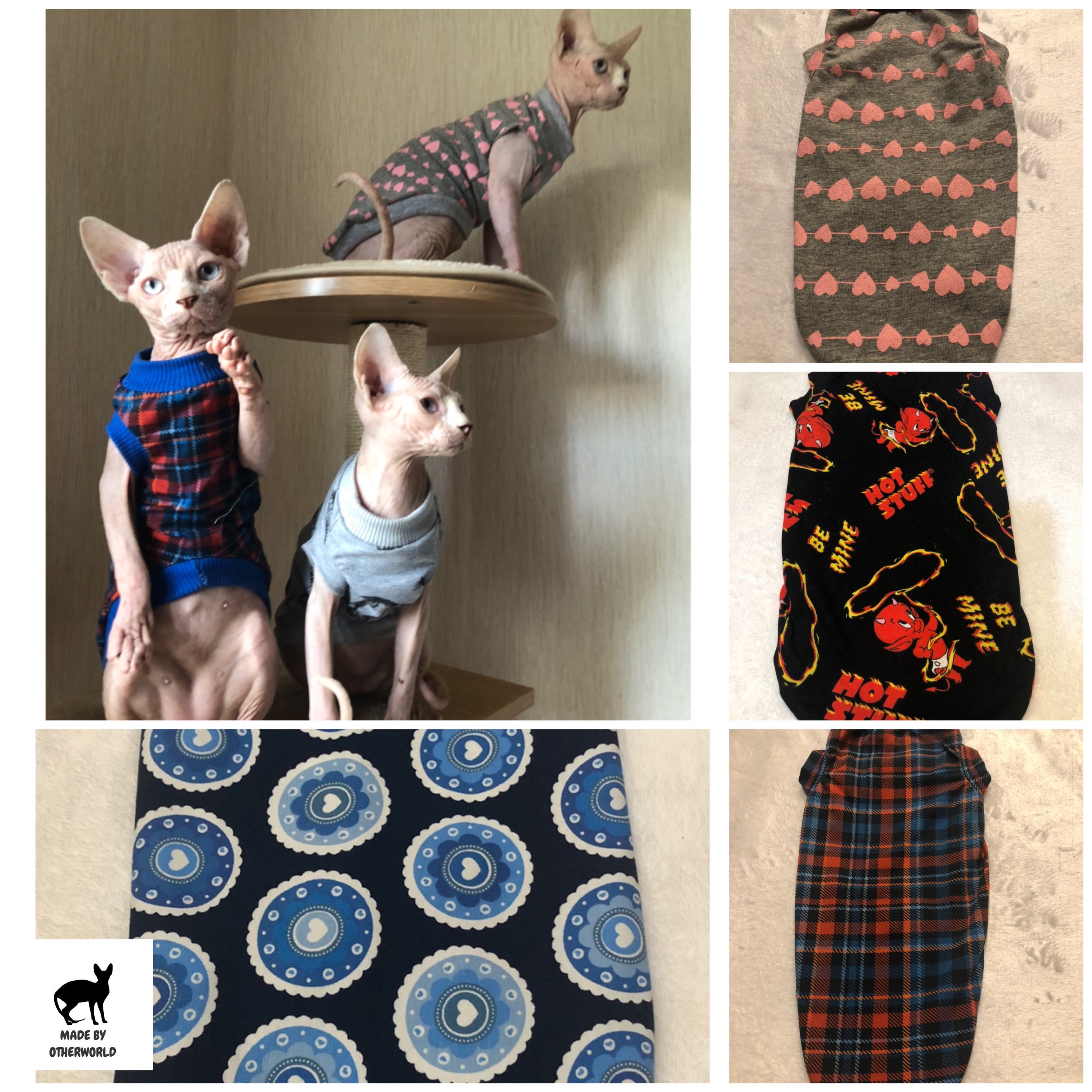 Handmade clothes for Sphynx kittens and other cats. Outfit for | Etsy