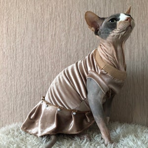 Dress for Sphynx and Other Cats. Cat Clothes. Outfit for Sphynx, Devon ...