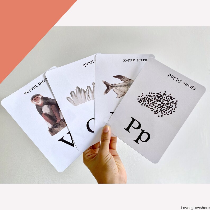 Nature Alphabet Flashcards • A–Z Learning Cards for Kids • Preschool ...
