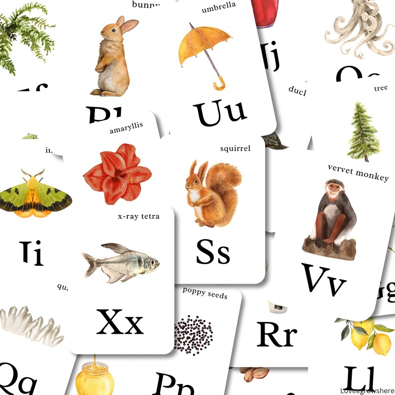 Nature Alphabet Flashcards • A–Z Learning Cards for Kids • Preschool ...
