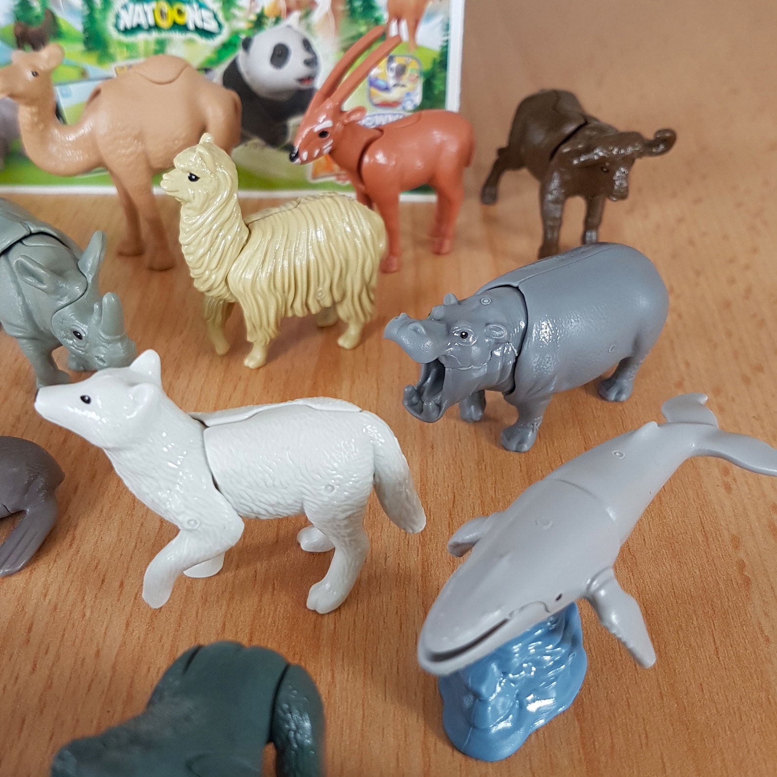 New 2022 KINDER Set: Natoons Animals Around the Globe FULL - Etsy