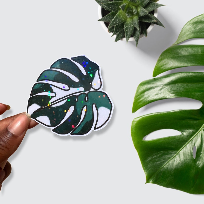 Monstera Albo | Variegated Monstera| Plant Sticker | Water Bottle ...