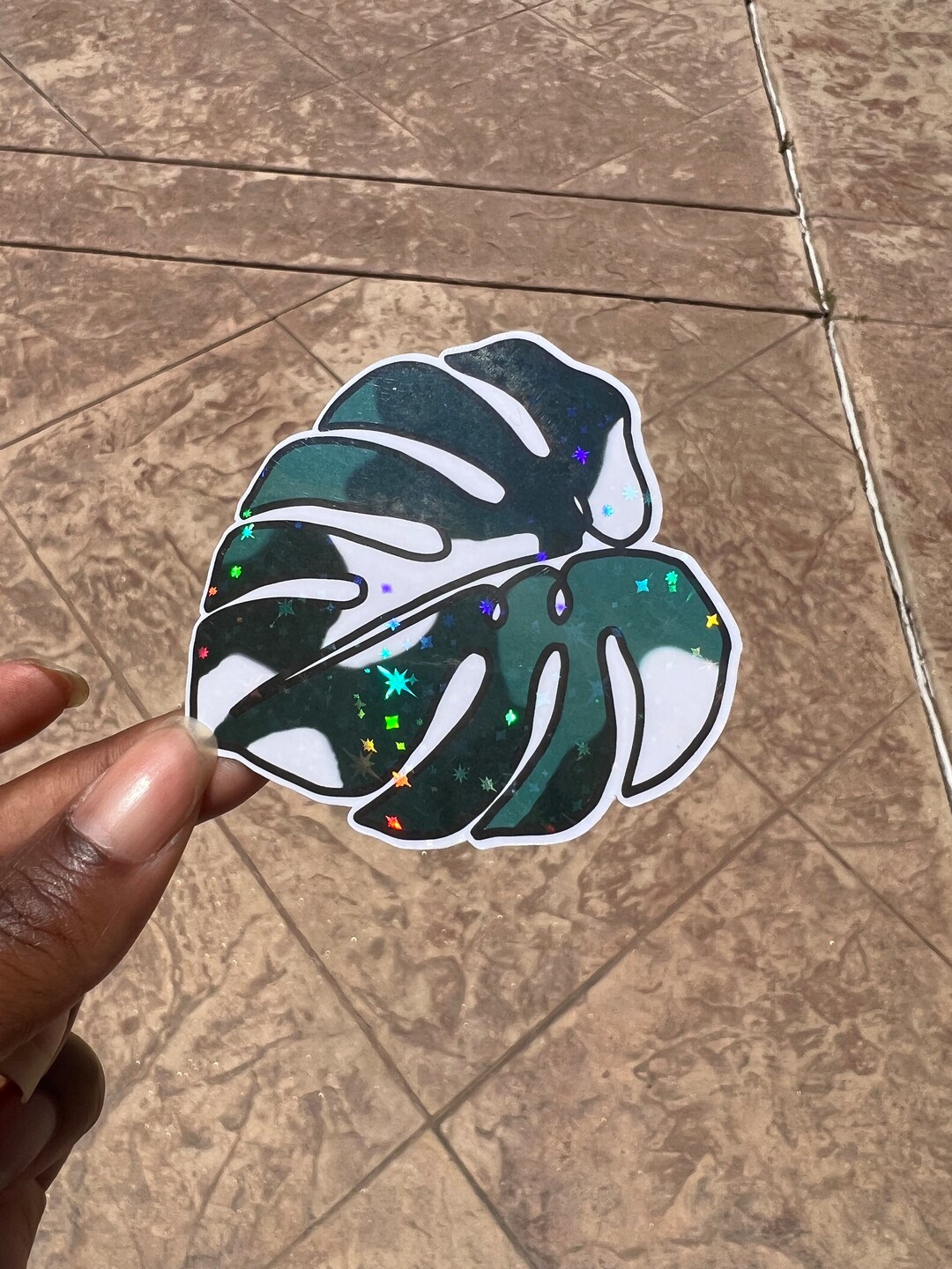 Monstera Albo | Variegated Monstera| Plant Sticker | Water Bottle ...