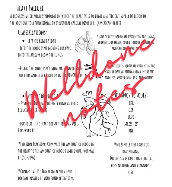 Heart Failure Basics & Pharmacology Study Guide Notes - Etsy