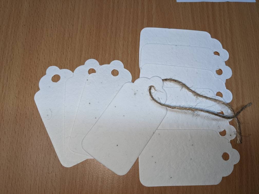 Eco Friendly Plantable Gift Tags 10 Pack Biodegradable - Etsy UK