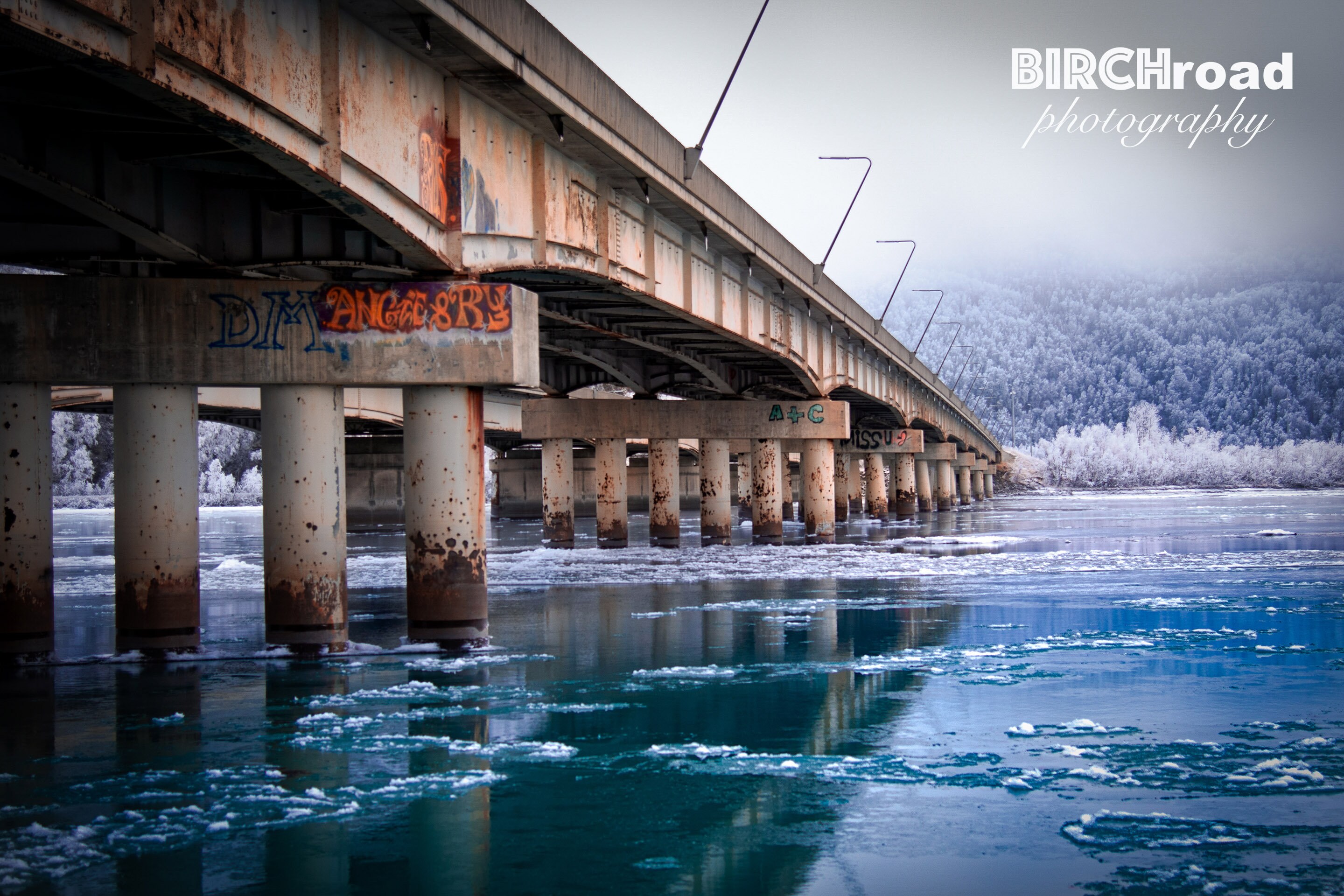 Knik Bridge - Etsy