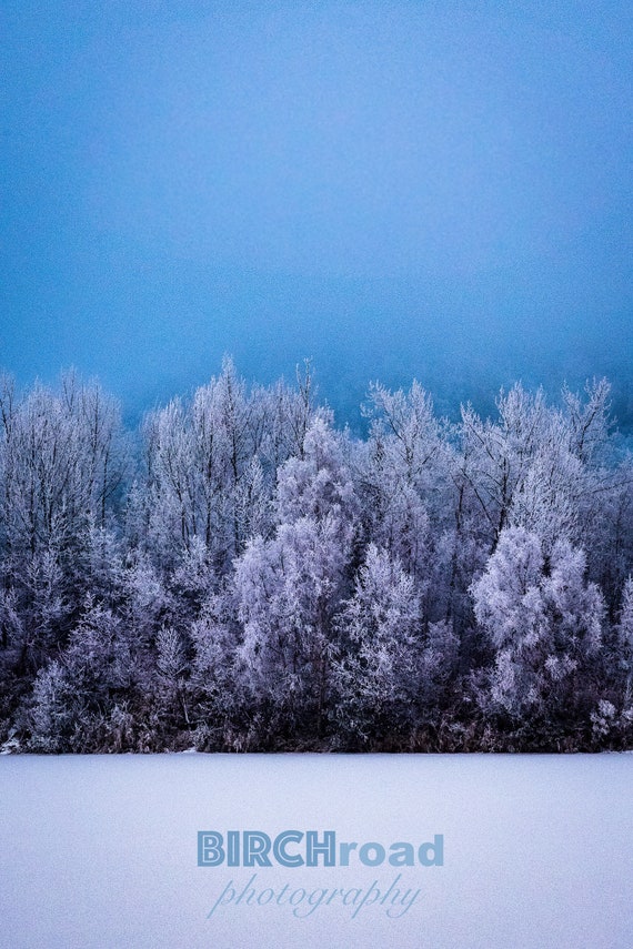 Reflection Lake Tree Line - Etsy