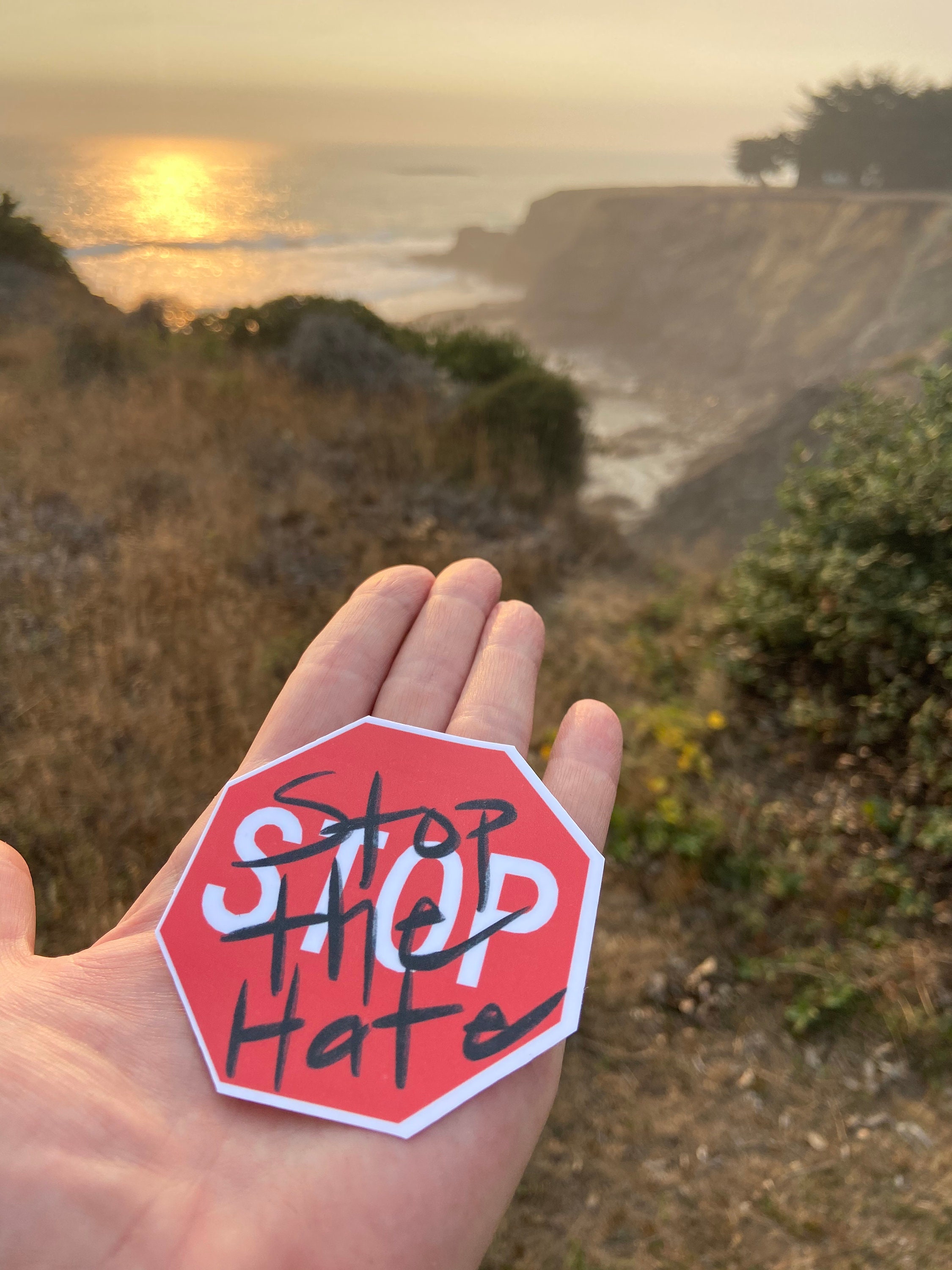 Stop The Hate/End Racism/BLM/Stop Asian Hate Vinyl Sticker | Etsy