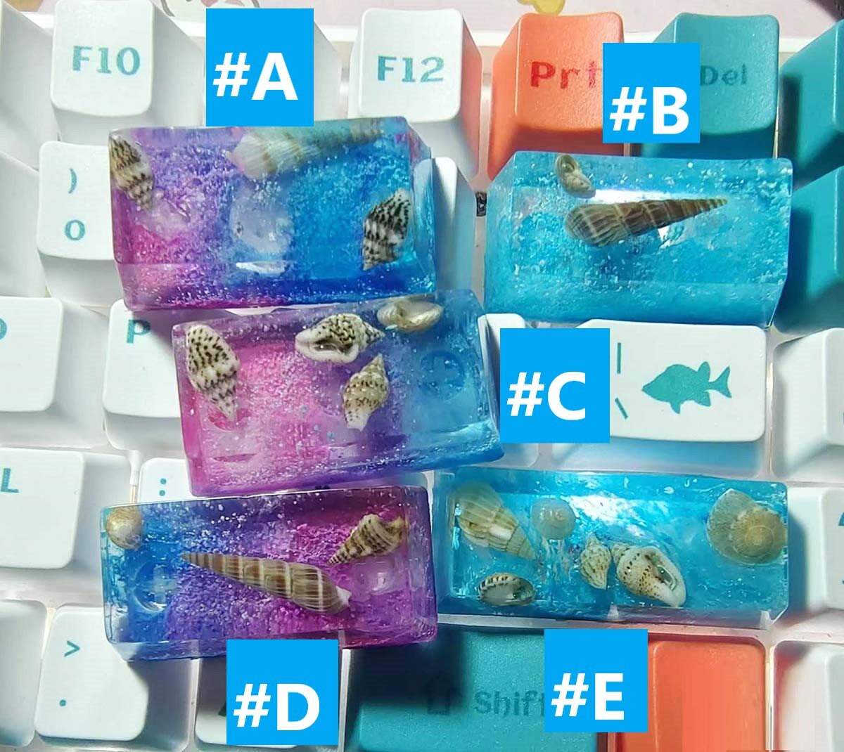 Natural Sea Shell Keycapscolorful Keycapcustom Keycapresin - Etsy