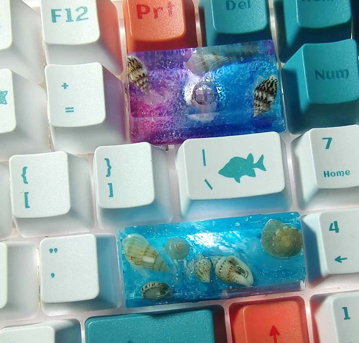 Natural Sea Shell Keycapscolorful Keycapcustom Keycapresin - Etsy