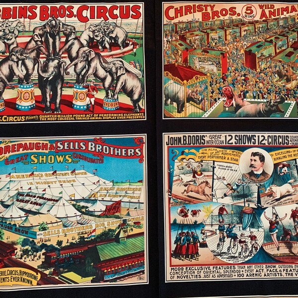 Circus Fabric - Etsy