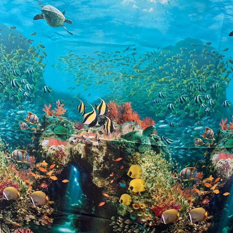 Sea Life Fabric Panel - Etsy