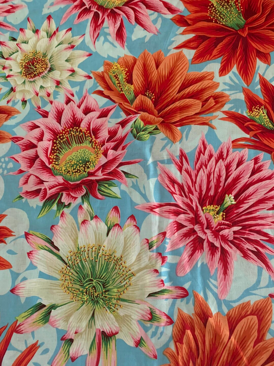 Cactus Flower Kaffe Fassett Rowan Westminster Fibers Spirit Cotton ...