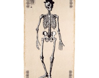 Skeleton Panel | Etsy