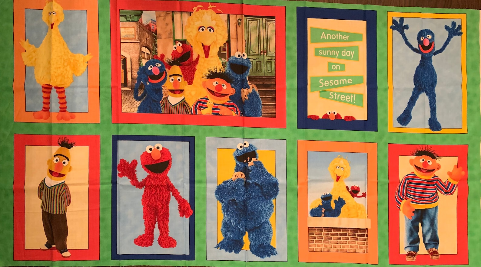 Sesame Street Fabric Panel Sesame Street Licensed Fabric Big | Etsy