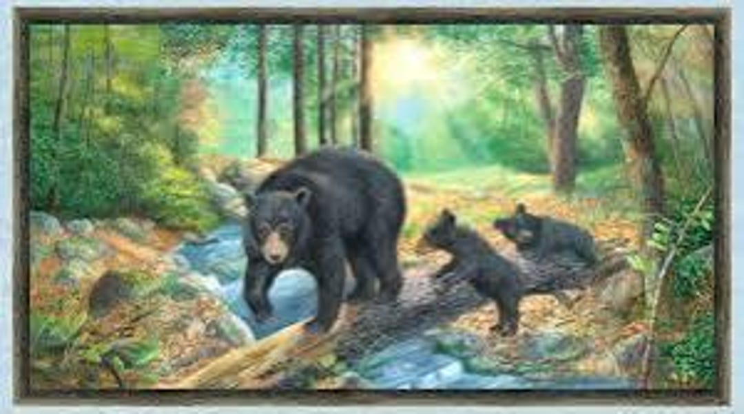 Brown Bear Fabric, Black Bear Mountain A New Adventure Large Panel ...