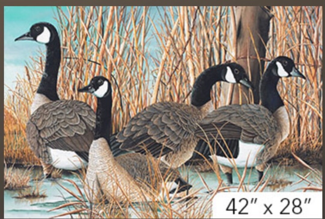 Canada Goose Fabric, Canada Goose Panel. Naturescapes Canada Goose ...