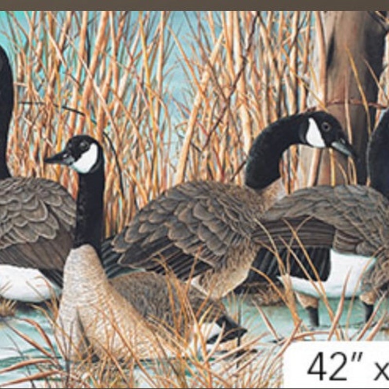 Canada Goose - Etsy