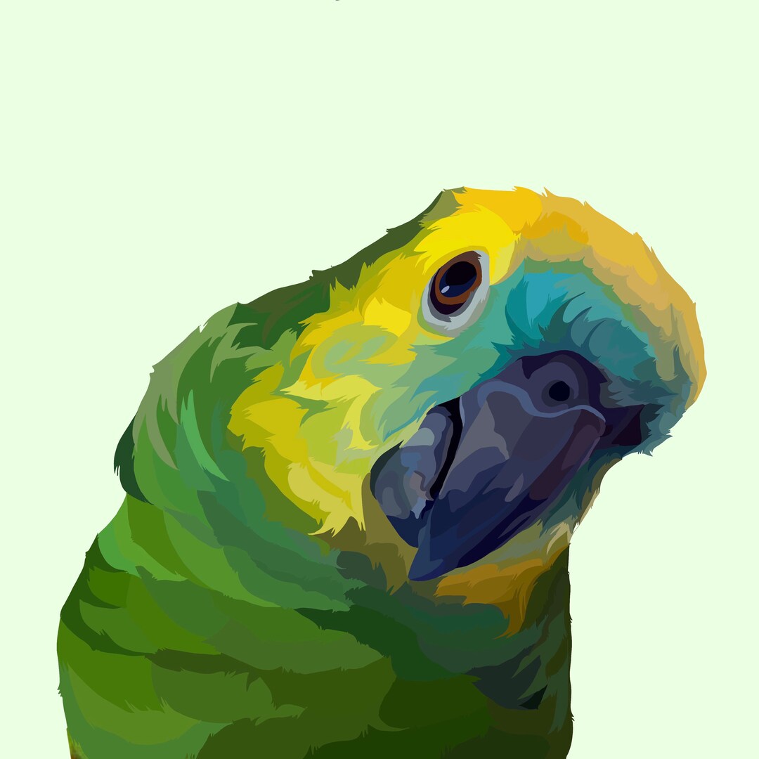 Custom Digital Color Block Bird Portrait, Personalized Pet Drawing ...