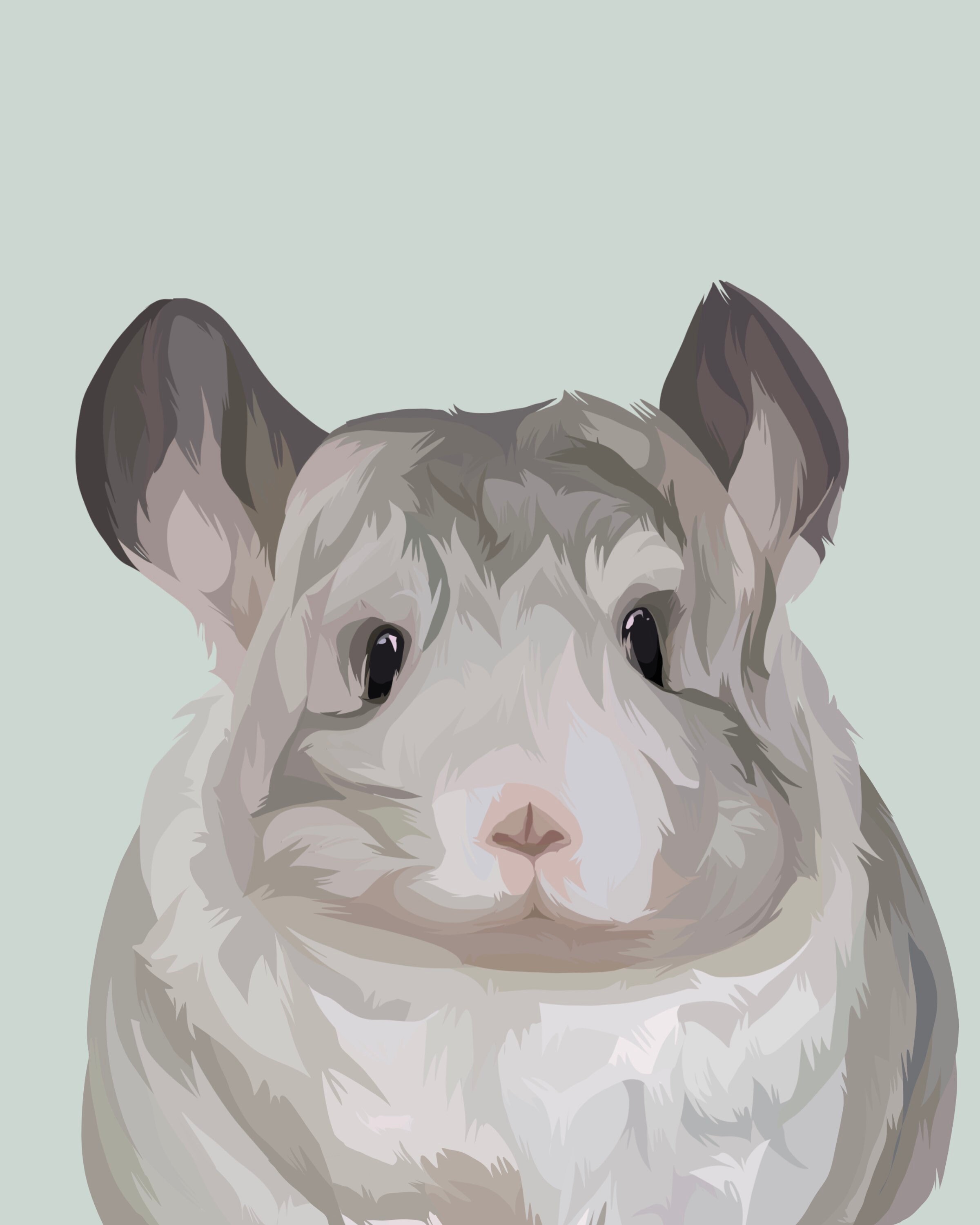 Custom DIGITAL Cartoon Pet Portrait Personalized Animal - Etsy