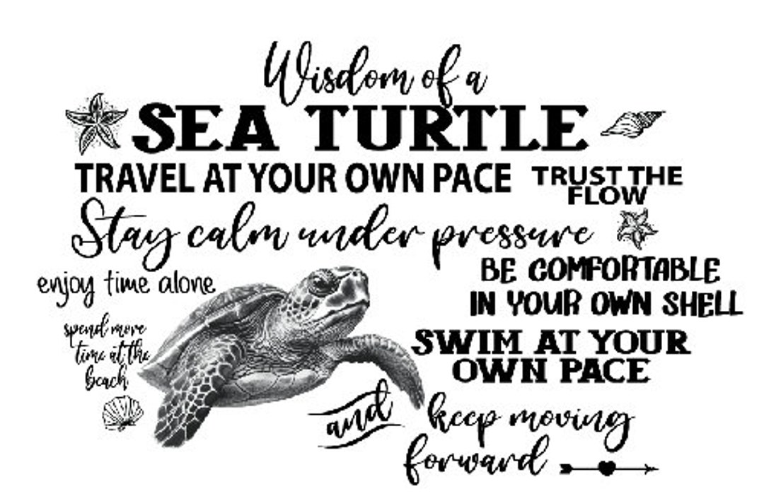 Wisdom of a Turtle SVG Files for Laser Engraving, Lightburn - Turtle ...