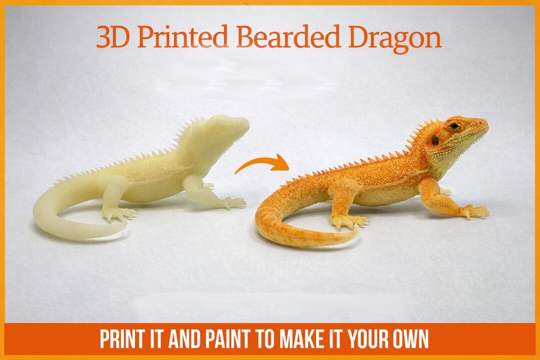3D Printable Lizard/reptile Model | Paint-your-own 3D Print | DIY ...