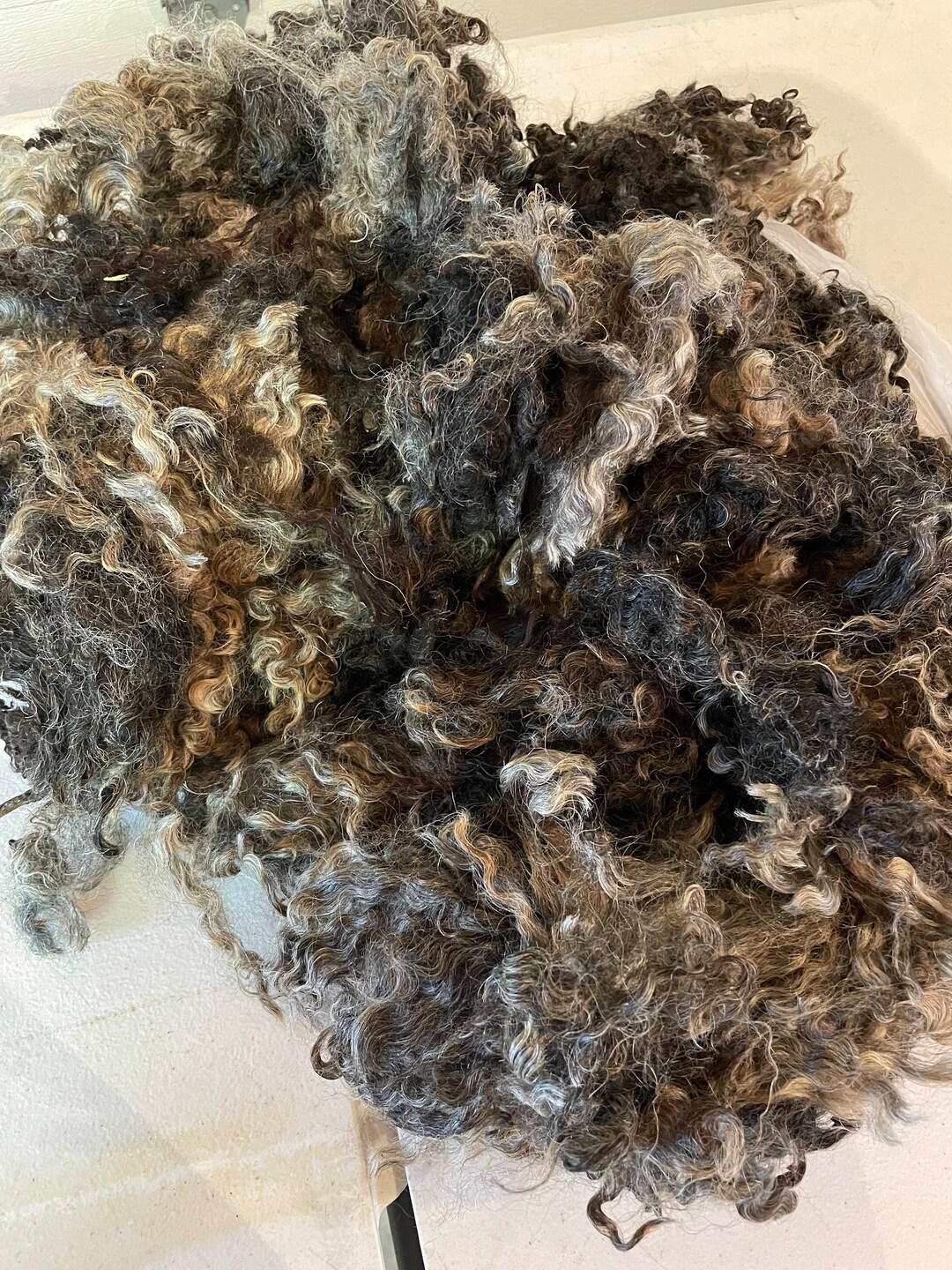 Natural Colored Lincoln Longswool Bulk Raw Fleece Medium to Course Wool ...