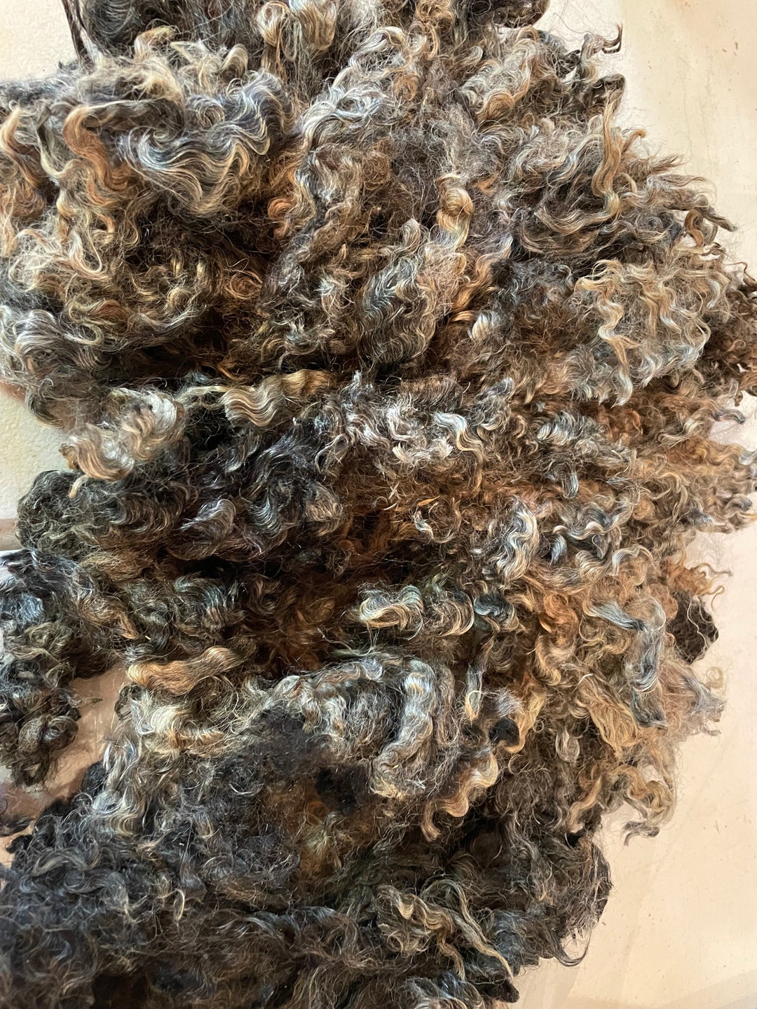 Natural Colored Lincoln Longswool Bulk Raw Fleece Medium to Course Wool ...