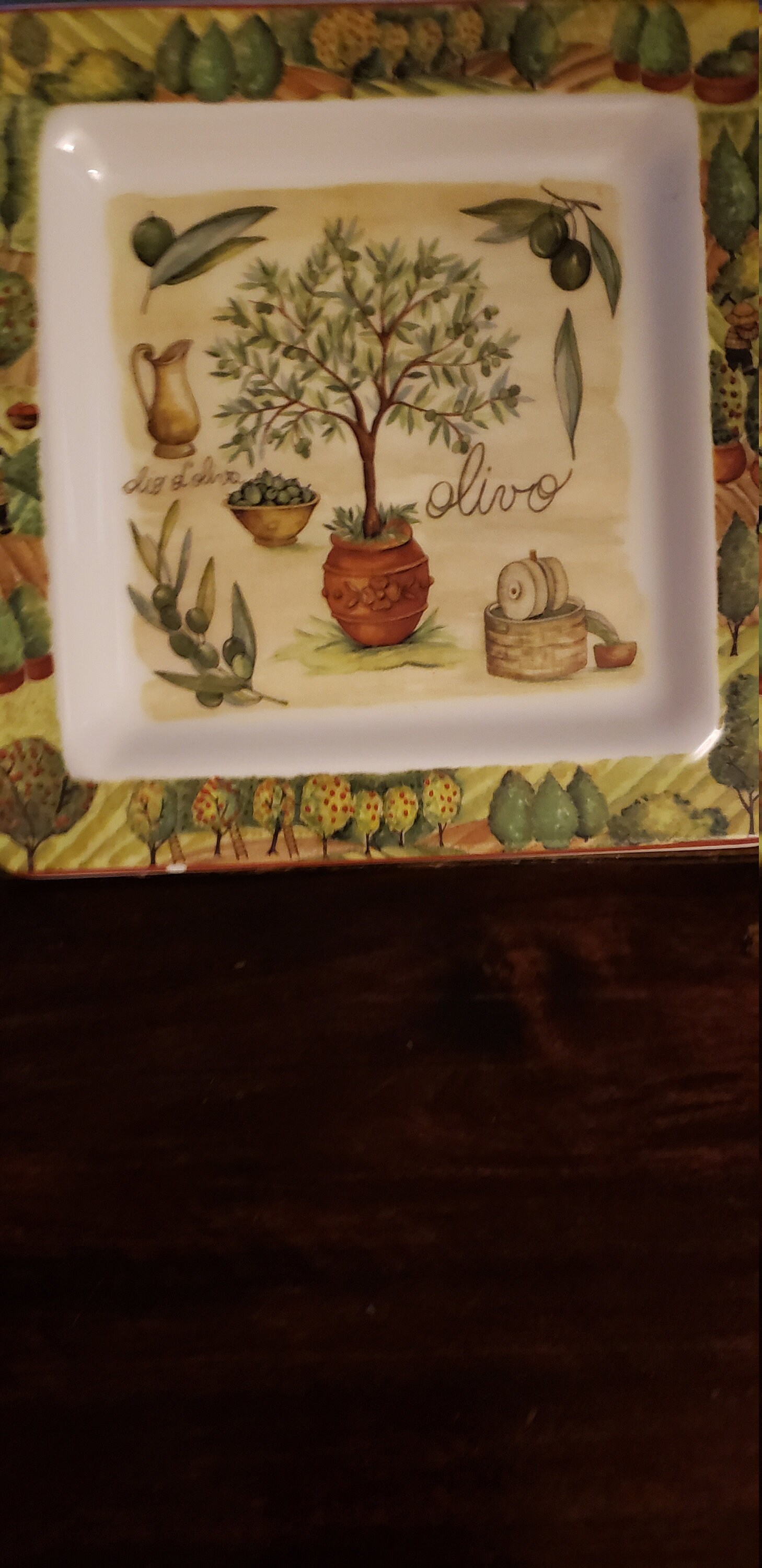 Placa colectora de aceituna - Etsy España