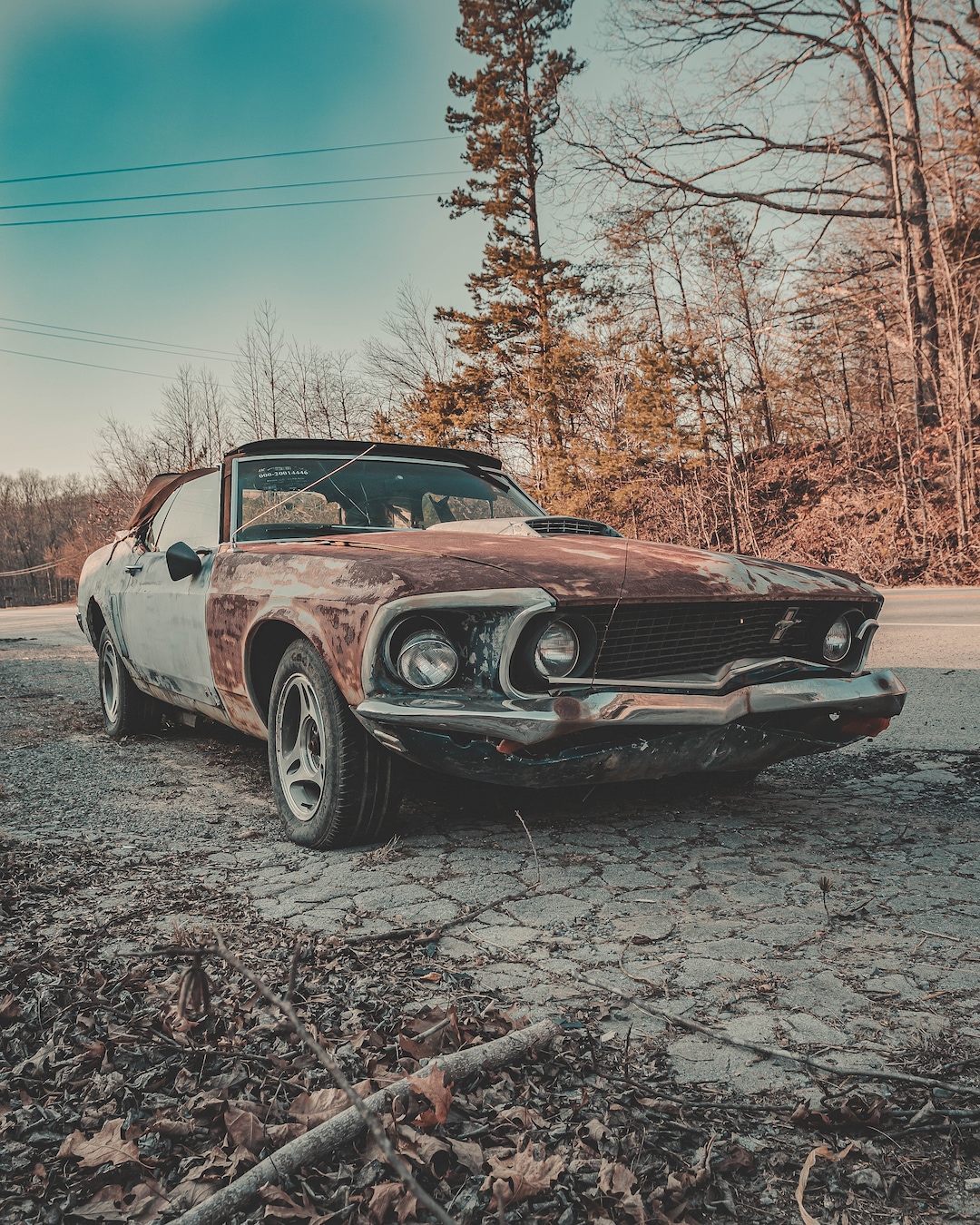 Vintage Rusted Out Ford Mustang Beautiful Matte Print - Etsy