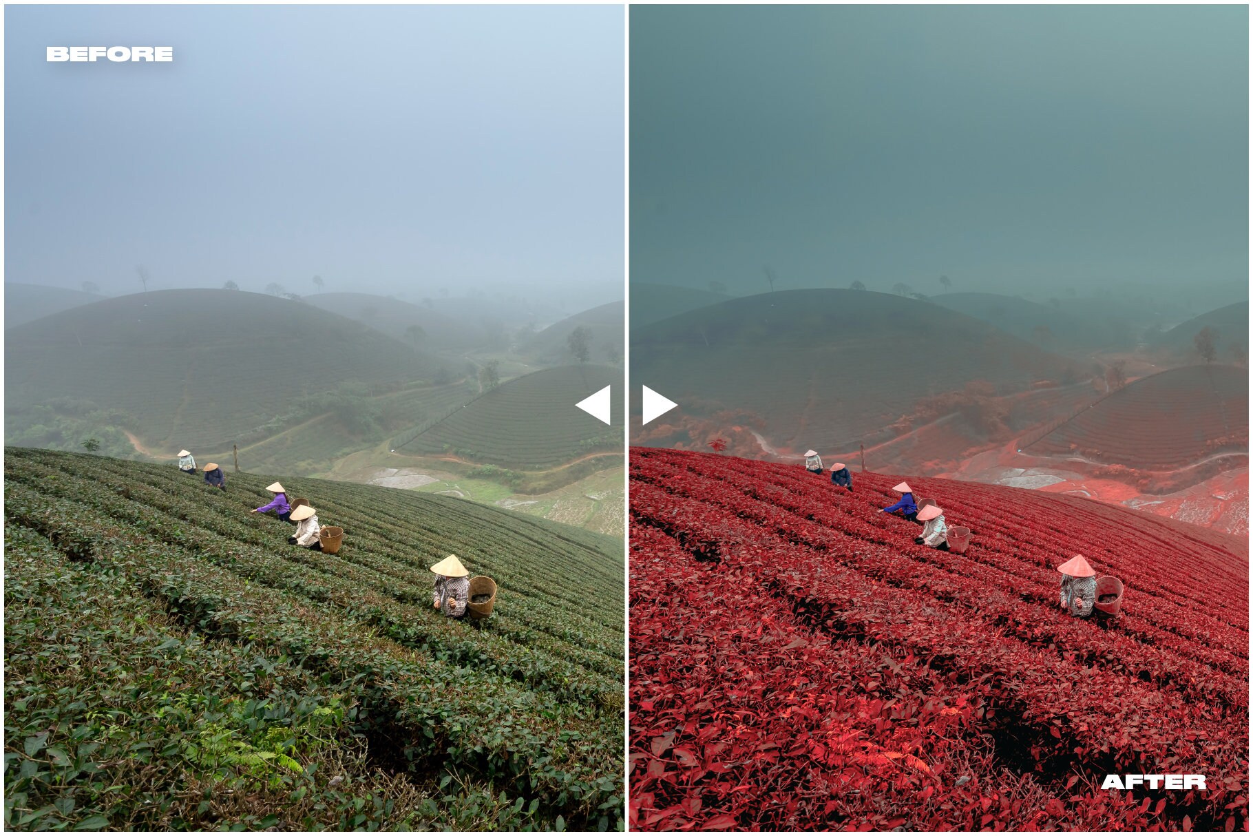SURREAL RED Color Grading Lightroom Preset for Lightroom Desktop ...