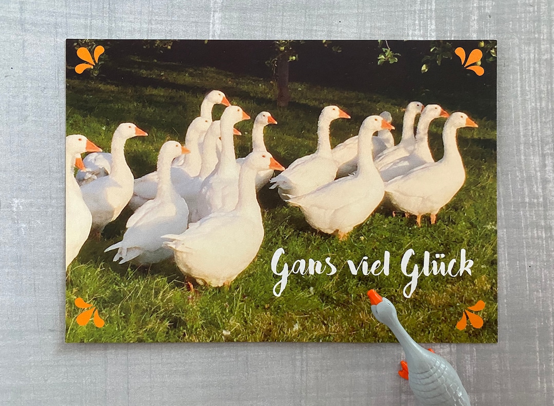 Postcard GOOSE GOOD LUCK - Etsy