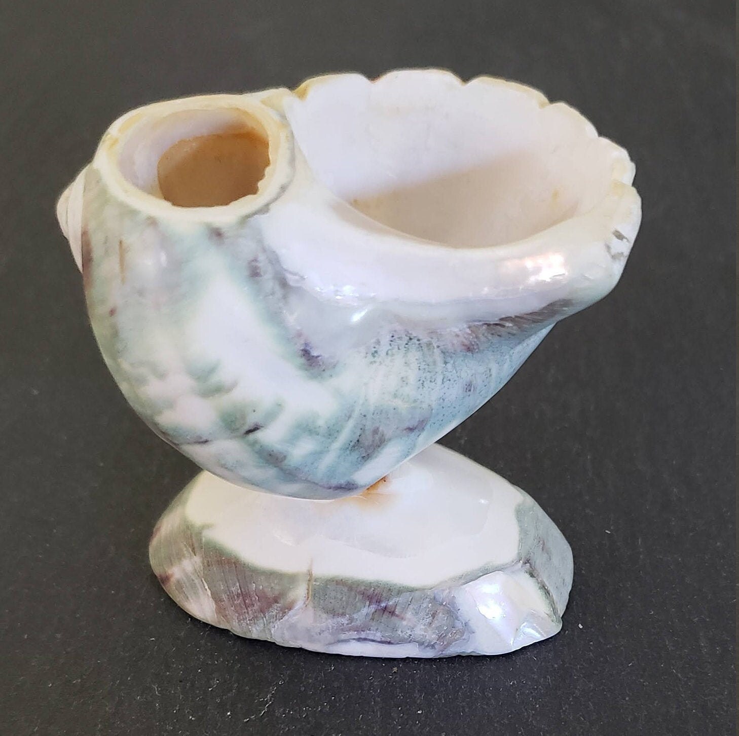 Vintage Carved Green Turbo Shell Vase - Etsy