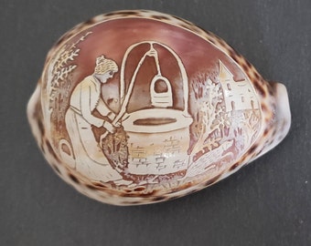 Carved Tiger Cowrie Shell - Etsy