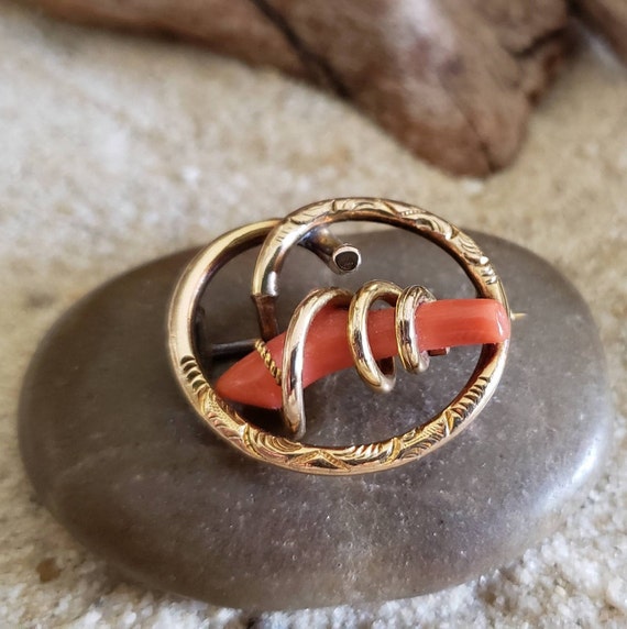 Victorian Coral Pin, Victorian Coral Brooch, Coral Cl… - Gem