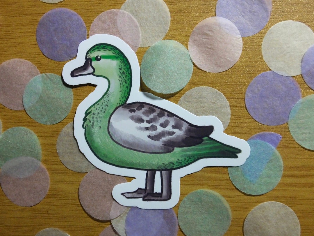 Aromantic Pride Sticker, Aro Pride Sticker, Cute Duck Sticker, Cute ...