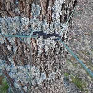 Ultimate Cowboy/bushcraft Bed Roll (shelter, Wool Blanket/cloak, Bed ...