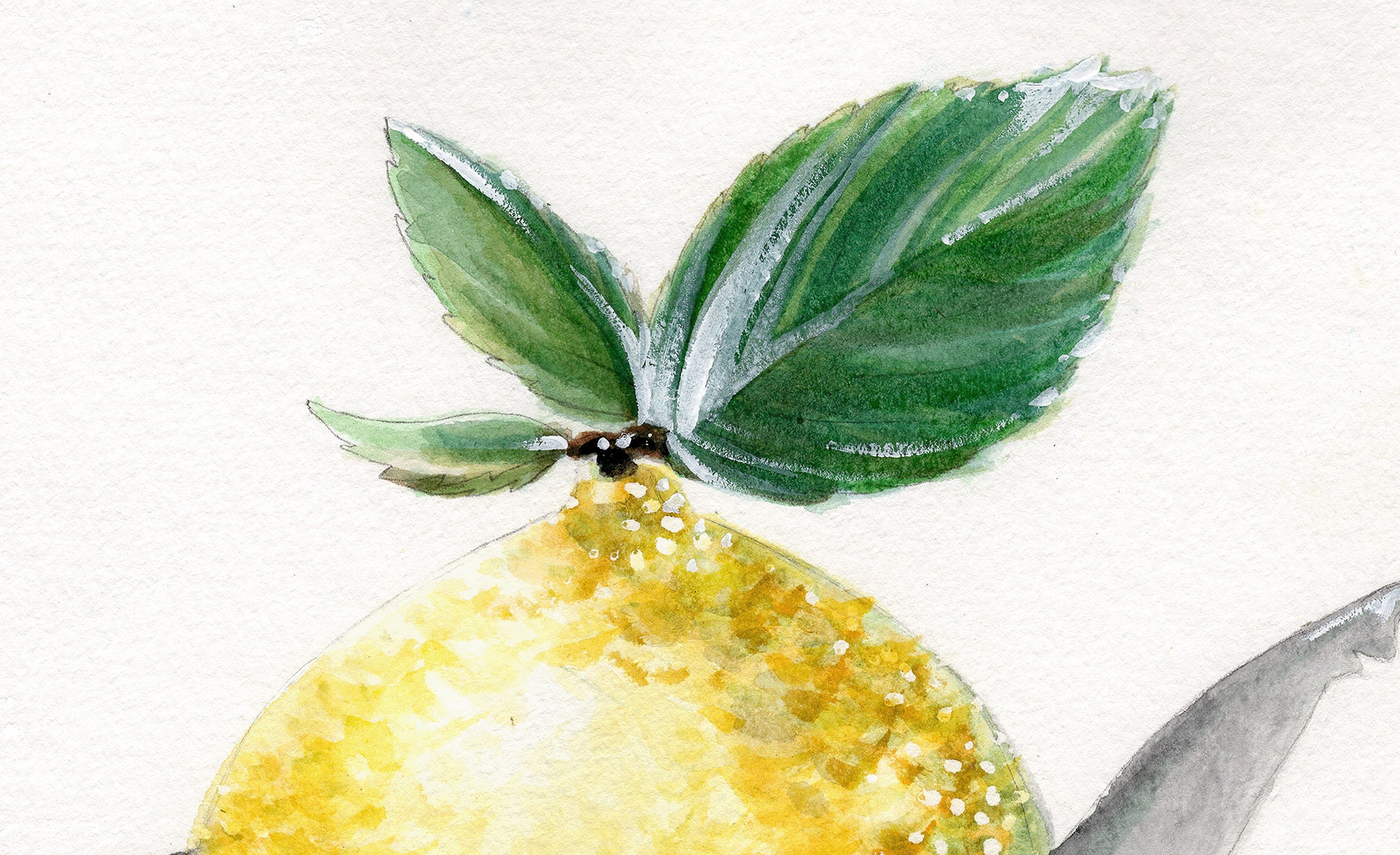 Lemon Shark Poster, Under the Sea Art, Victorian Ocean Postcard, Sea ...