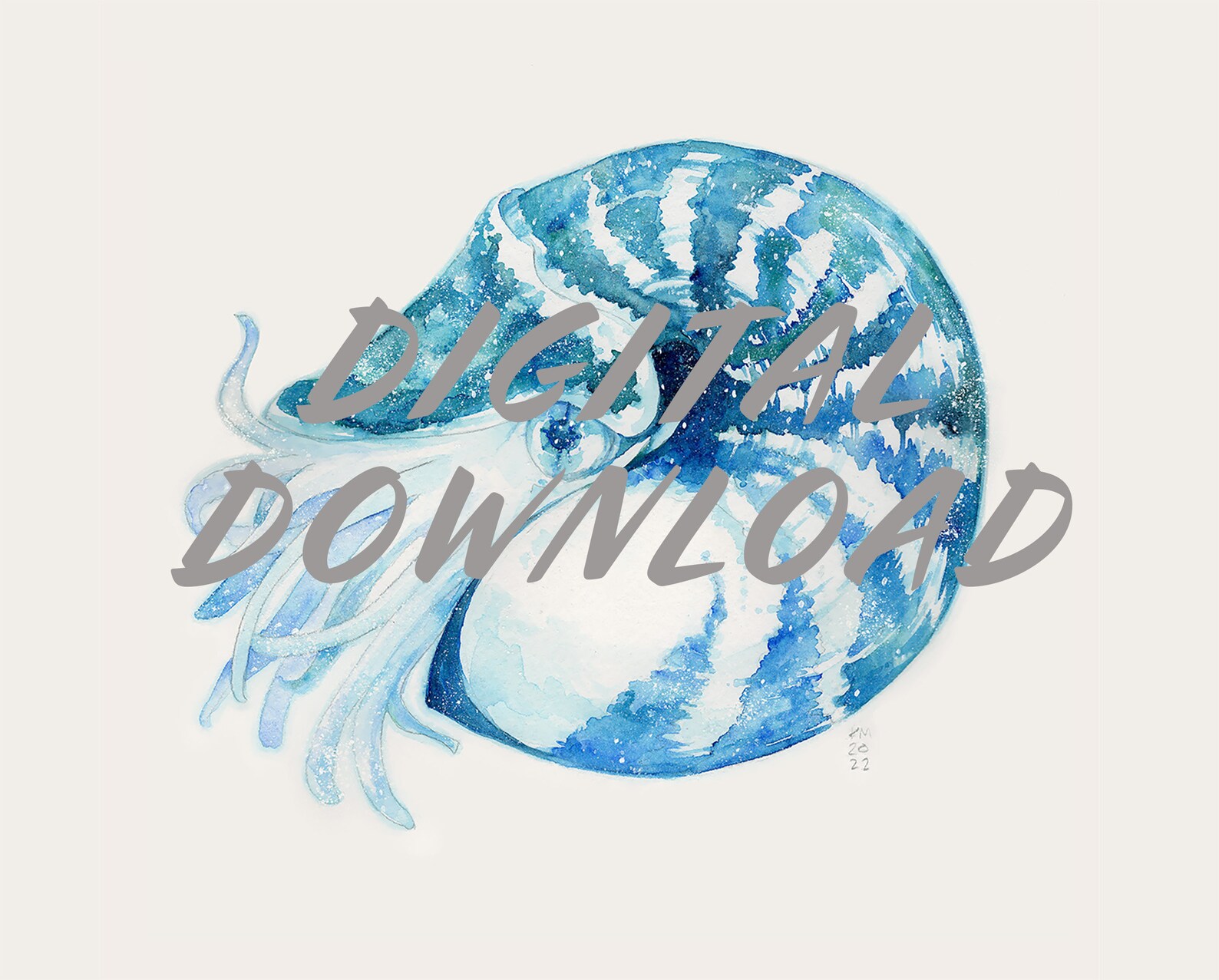 Beach Gallery Wall, Nautilus Poster, Beach Galaxy Art, Shell Decor ...