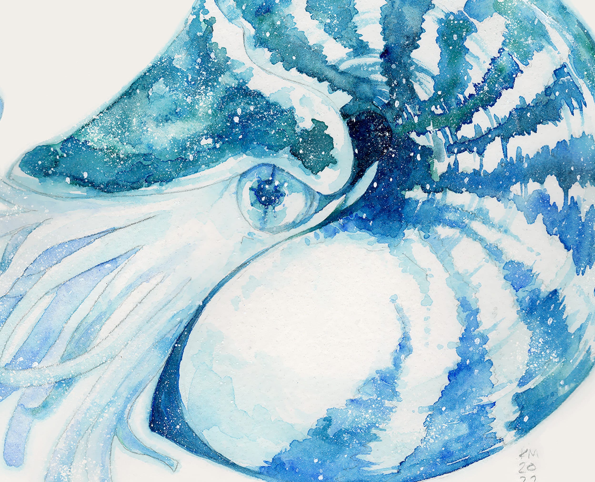 Beach Gallery Wall Nautilus Poster Beach Galaxy Art Shell - Etsy