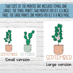 Plant Theme Birthday Display | Classroom Monthly Birthday Chart ...