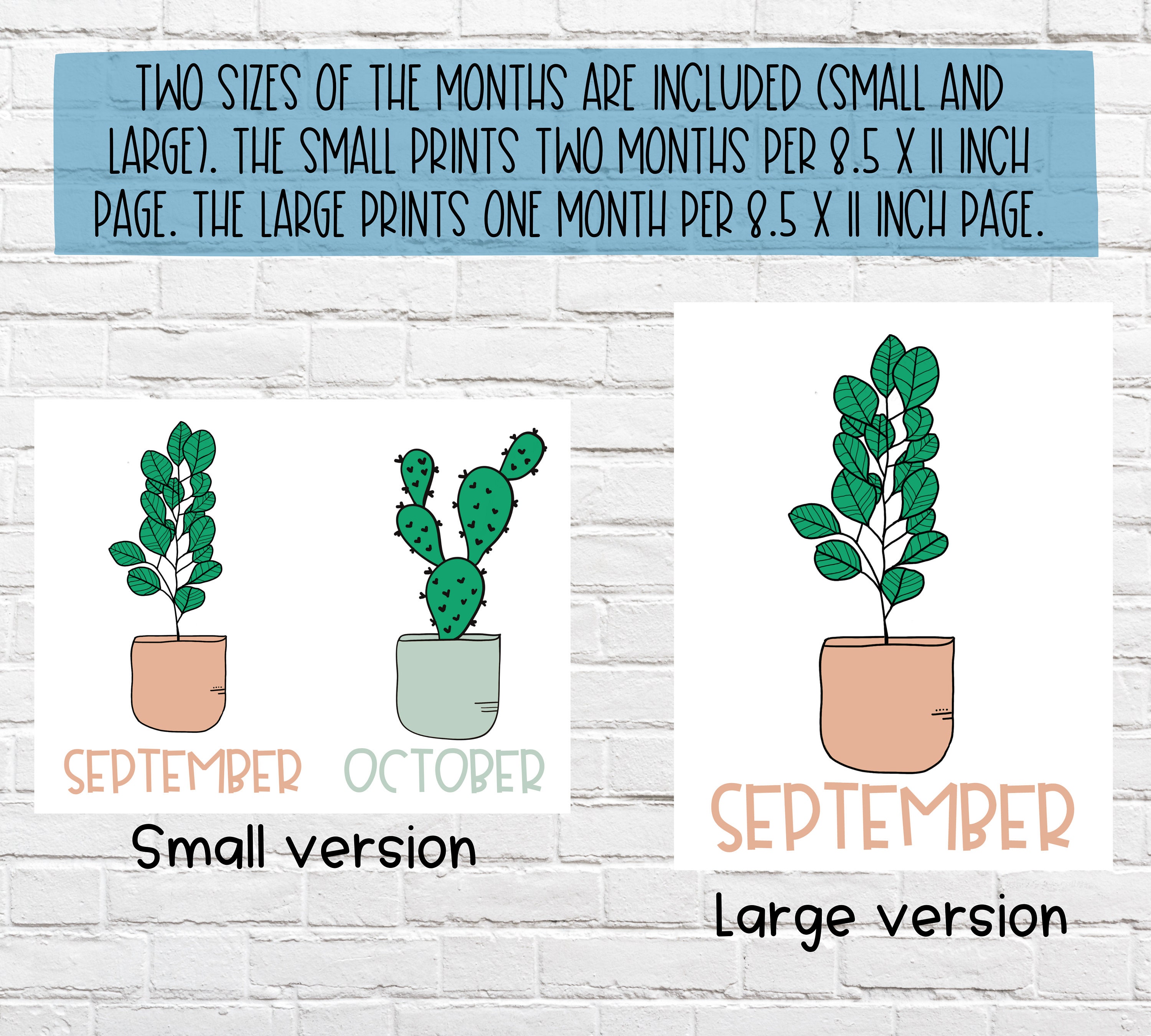 Plant Theme Birthday Display Classroom Monthly Birthday | Etsy