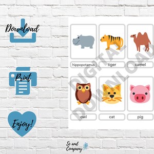 Animal Flash Cards | Montessori Cards | Printable Nomenclature | 3 Part ...