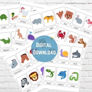 Animal Flash Cards | Montessori Cards | Printable Nomenclature | 3 Part ...