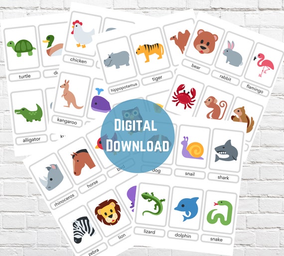 Animal Flash Cards Montessori Cards Printable Nomenclature | Etsy