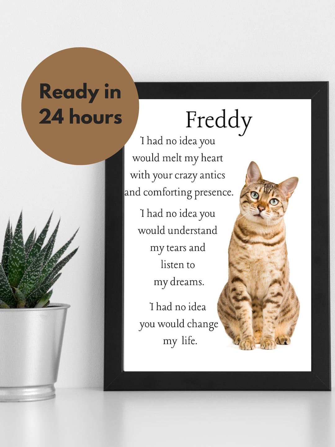 Personalized Cat Gifts - Gifts for Cat Owners - Custom Cat Gift - Cat ...