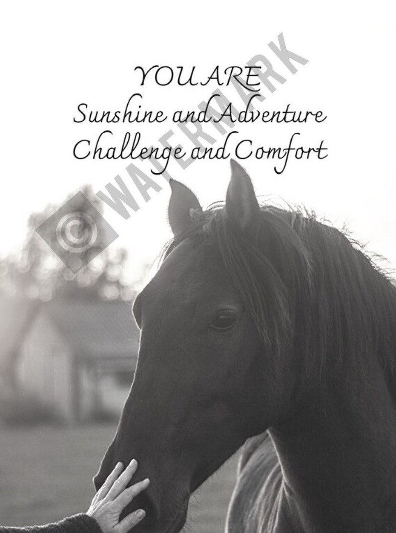 Horse Lover PRINTABLE Gift Digital Horse Print Equestrian Gift Equine ...