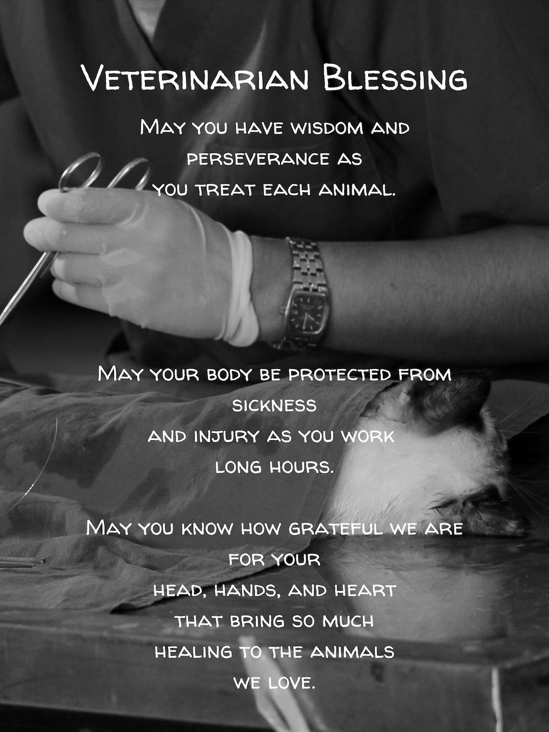 Veterinarians PRINTABLE Gift, Prayer for Vets, Vet Printable, Animal ...