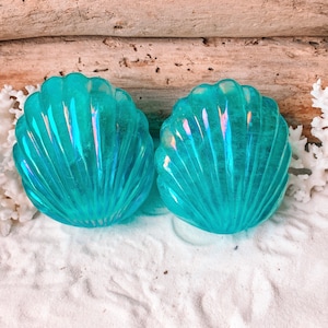 Blue Aura Quartz Clam Shell | Aqua Aura Quartz Seashell | Seashell ...