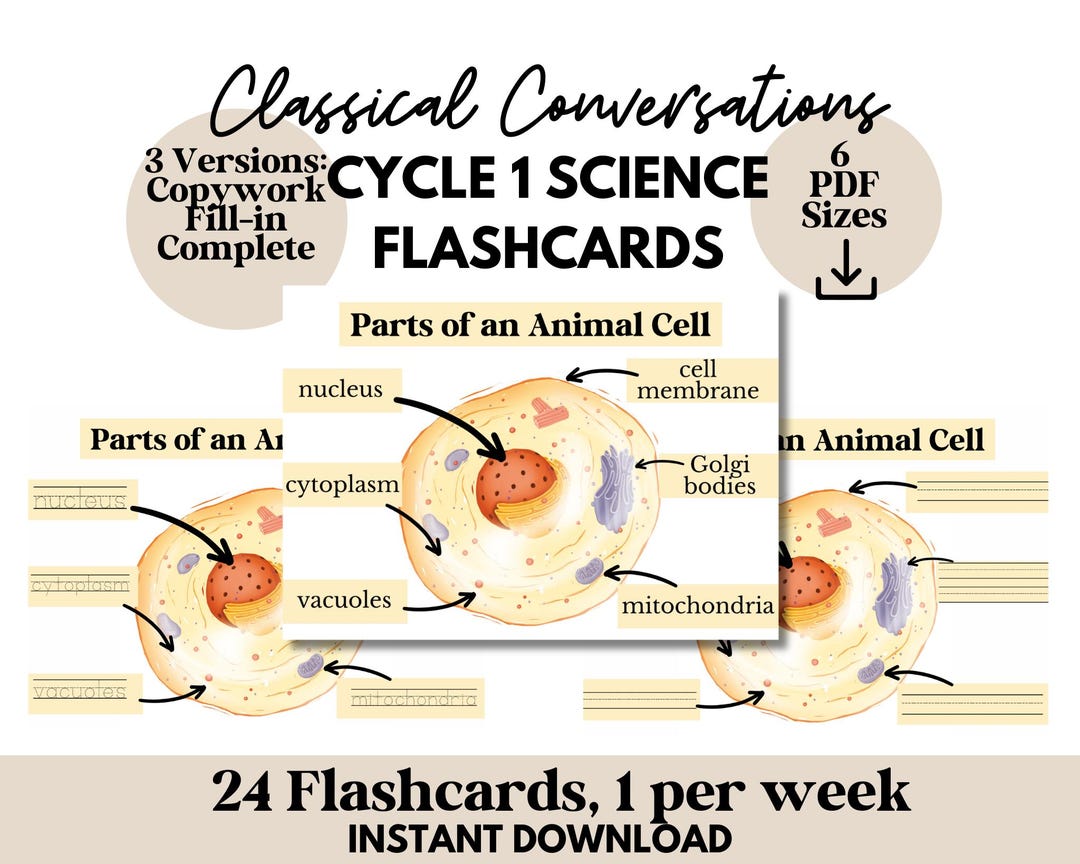 Classical Conversations Cycle 1 Science Flashcards Cycle 1 Science ...